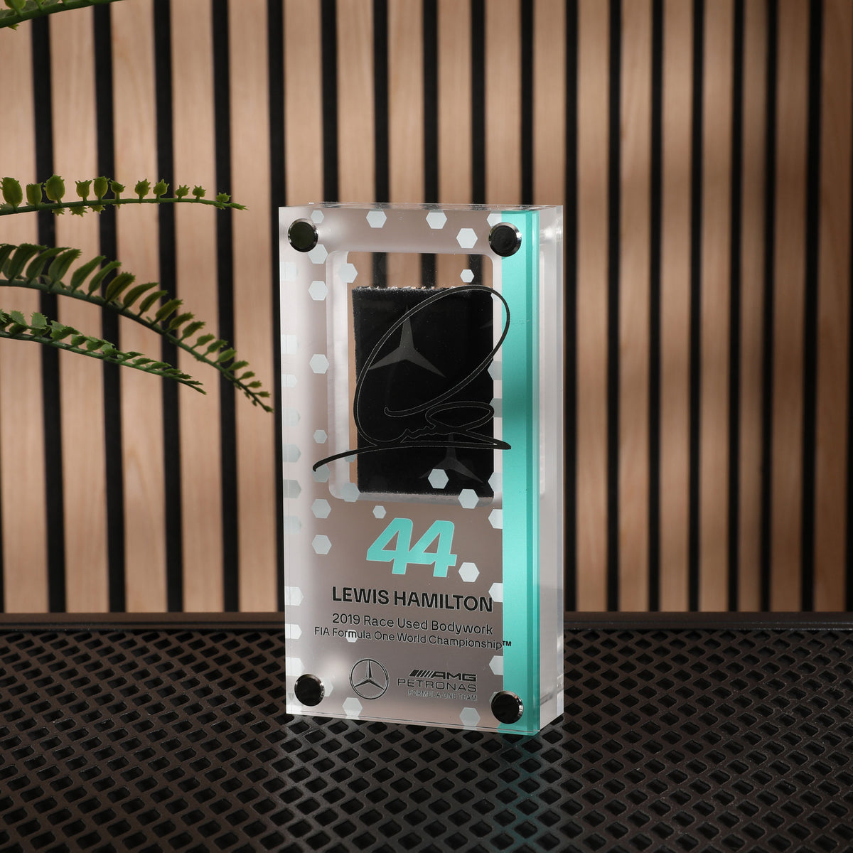 Lewis Hamilton 2019 Bodywork in Acrylic – F1 Authentics